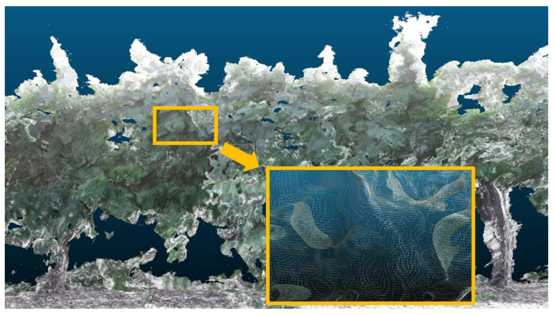 A Low-Cost Approach to Automatically Obtain Accurate 3D Models of Woody ...