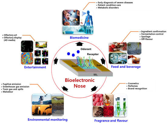 Applications and Advances in Bioelectronic Noses for Odour Sensing