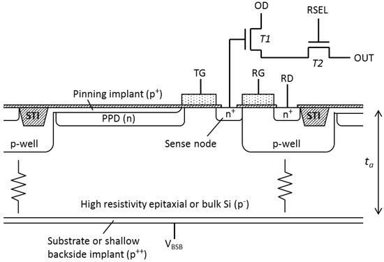 Design and Performance of a Pinned Photodiode CMOS Image Sensor Using Reverse Substrate Bias