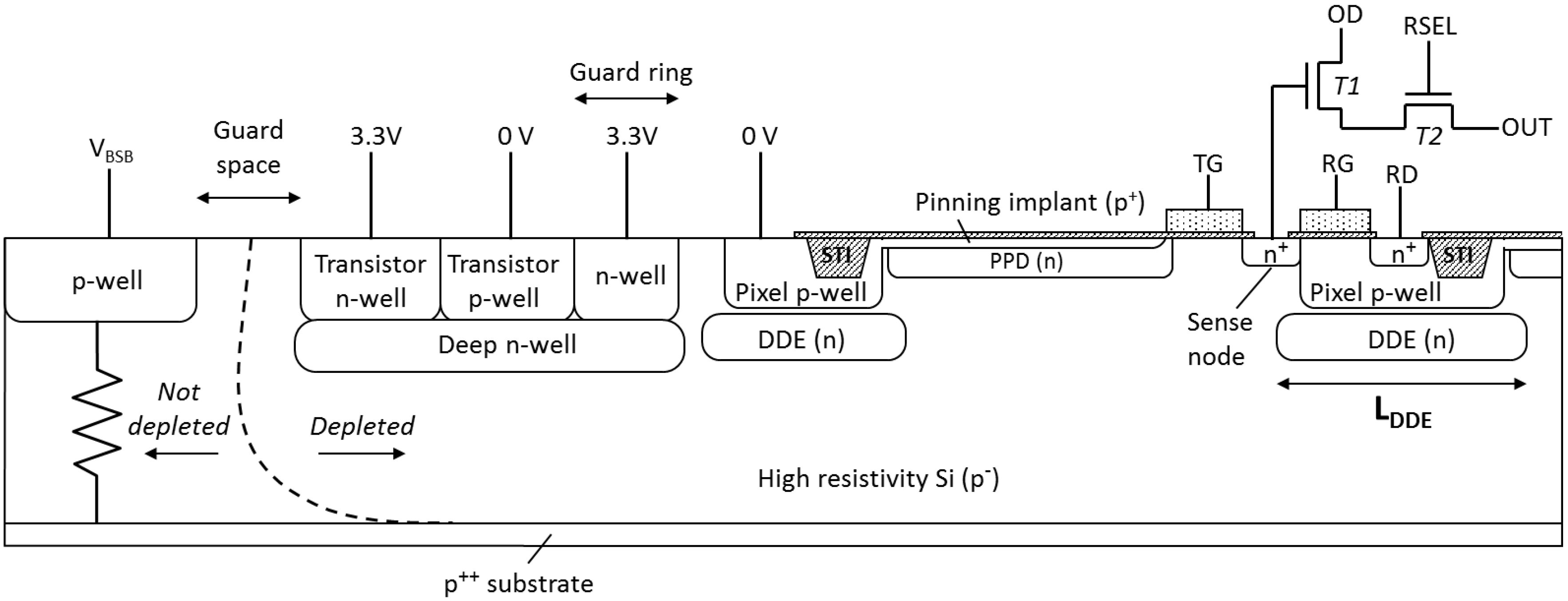 Design and Performance of a Pinned Photodiode CMOS Image Sensor Using Reverse Substrate Bias