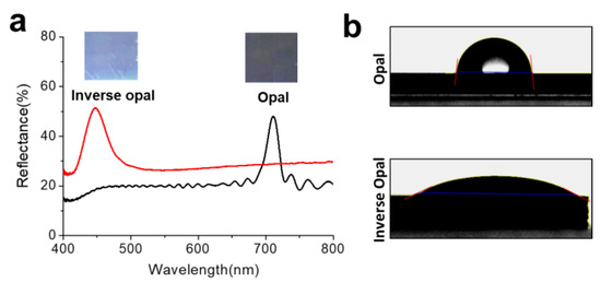 An Antibody-Immobilized Silica Inverse Opal Nanostructure for Label ...