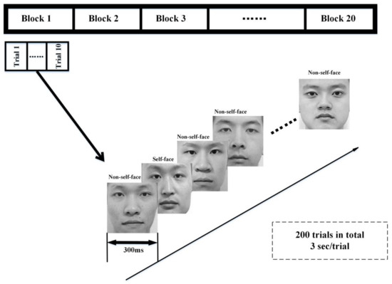 Sensors | Free Full-Text | An EEG-Based Person Authentication System with Open-Set Capability ...