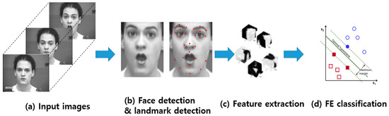 A Brief Review of Facial Emotion Recognition Based on Visual Information