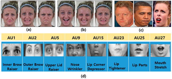 A Brief Review of Facial Emotion Recognition Based on Visual Information