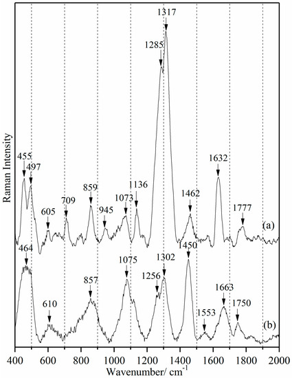 A Simple Surface-Enhanced Raman Spectroscopic Method for on-Site ...