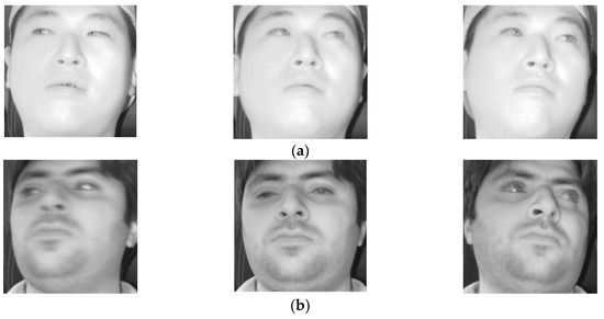 Deep Learning-Based Gaze Detection System for Automobile Drivers Using ...