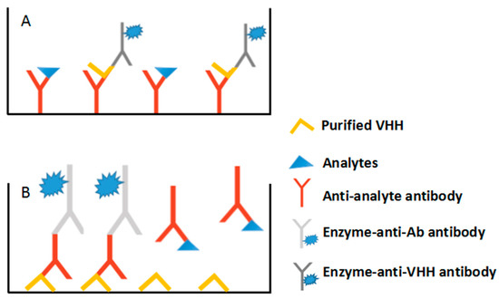 VHH Antibodies: Reagents for Mycotoxin Detection in Food Products