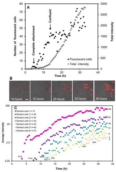 Calcium Imaging of GPCR Activation Using Arrays of Reverse Transfected ...