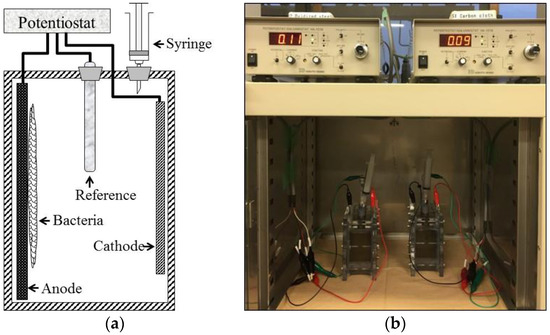 Flame-Oxidized Stainless-Steel Anode as a Probe in Bioelectrochemical ...