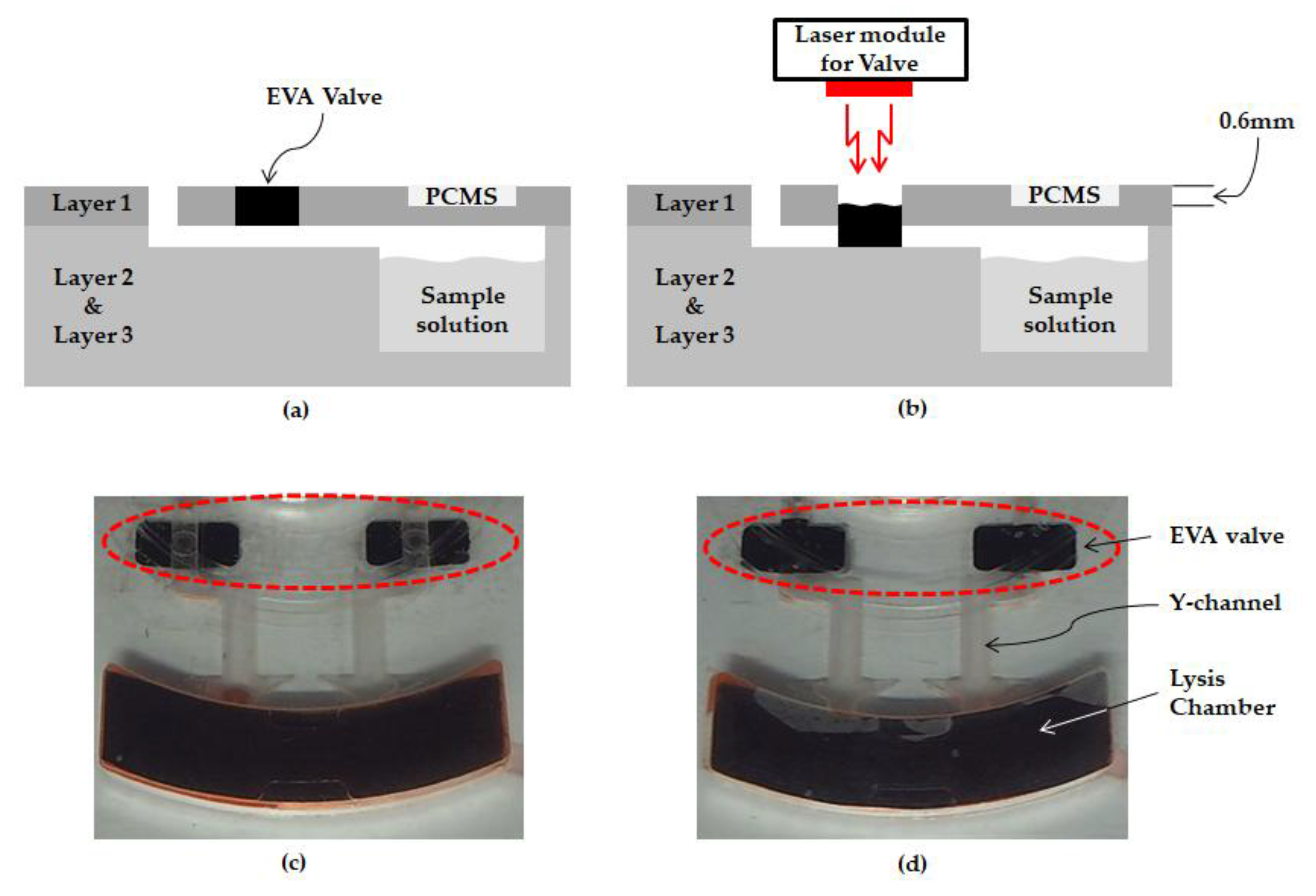 Lab-on-a-Disc Platform for Automated Chemical Cell Lysis