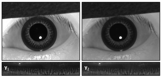 Sensors | Free Full-Text | A Novel Anti-Spoofing Solution for Iris ...