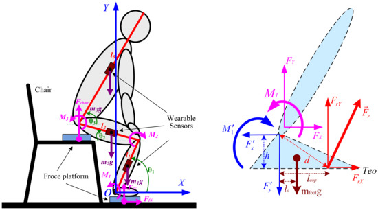 Sensors | Free Full-Text | Nondestructive Estimation of Muscle ...