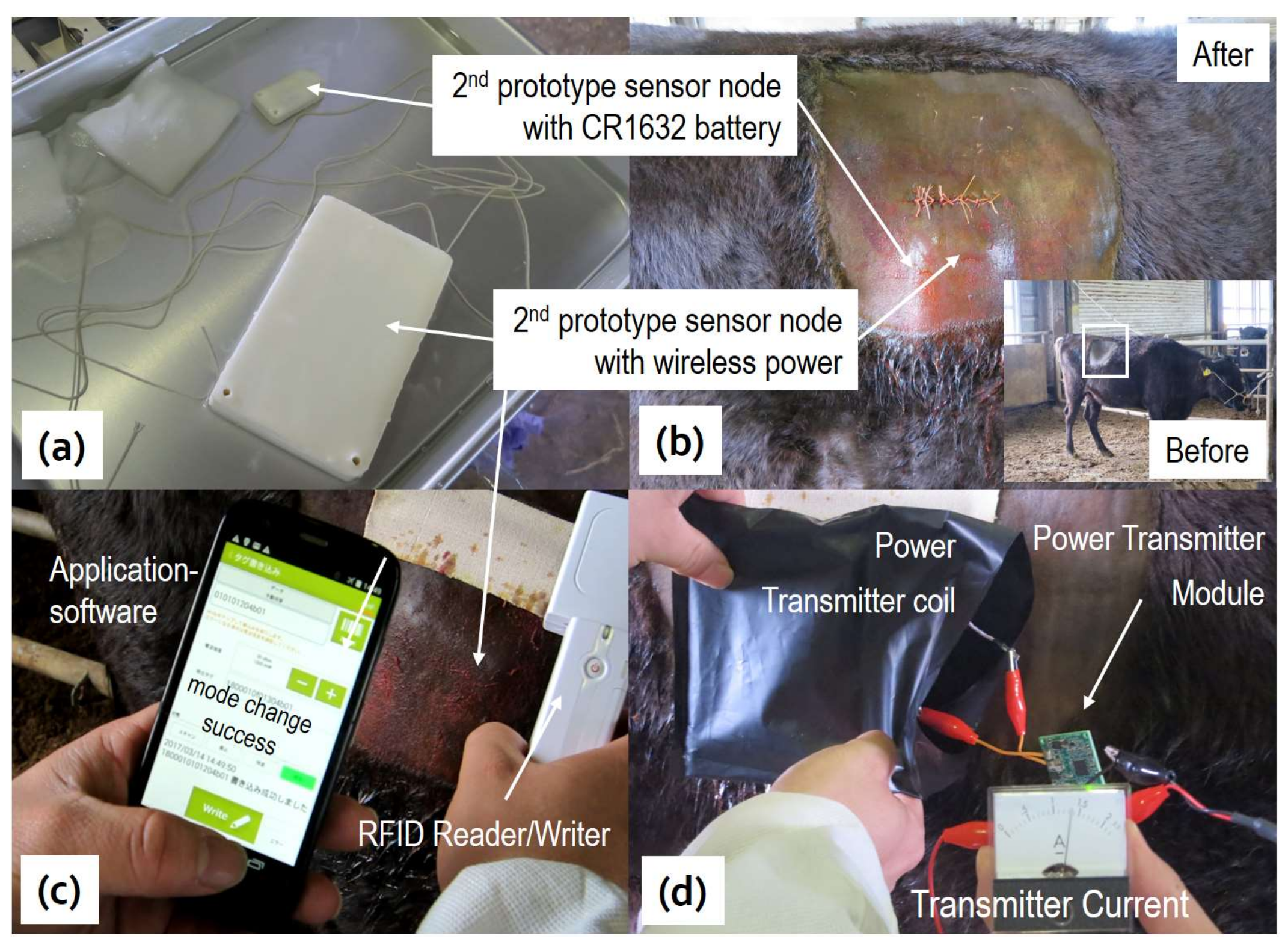Sensors Free Full Text Development Of Implantable Wireless Sensor