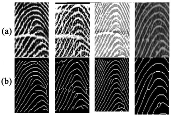 A Large-Scale Study of Fingerprint Matching Systems for Sensor ...