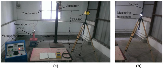 A Power-Frequency Electric Field Sensor for Portable Measurement