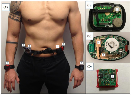 “What Is a Step?” Differences in How a Step Is Detected among Three ...