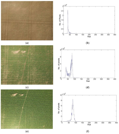Sensors | Free Full-Text | A New Vegetation Segmentation Approach for ...