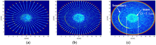 The Application of an Ultrasound Tomography Algorithm in a Novel Ring ...