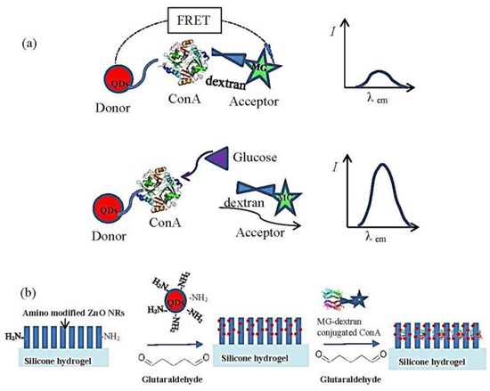 Fluorescent Nanobiosensors for Sensing Glucose