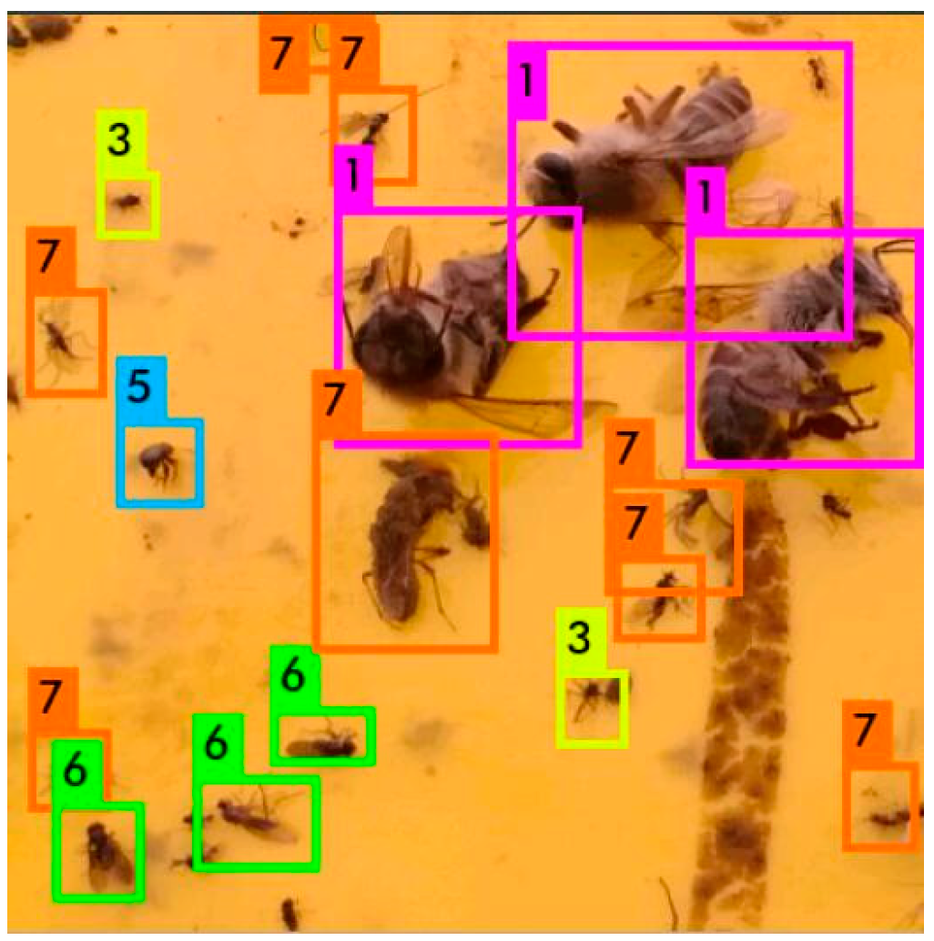 A Vision-Based Counting and Recognition System for Flying Insects in Intelligent Agriculture