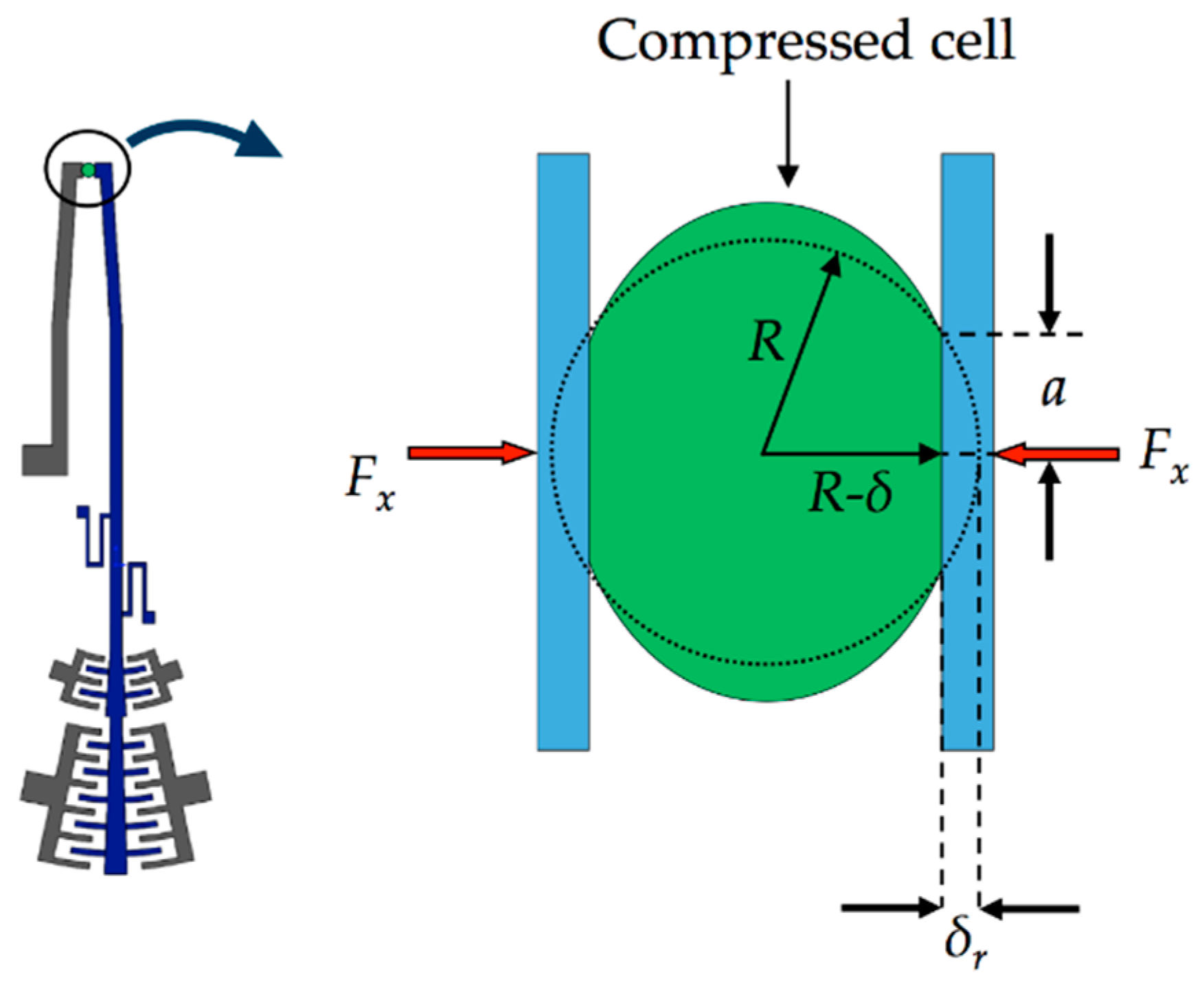 Design of a Novel MEMS Microgripper with Rotatory Electrostatic Comb ...