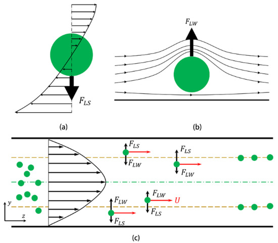 Progress of Inertial Microfluidics in Principle and Application