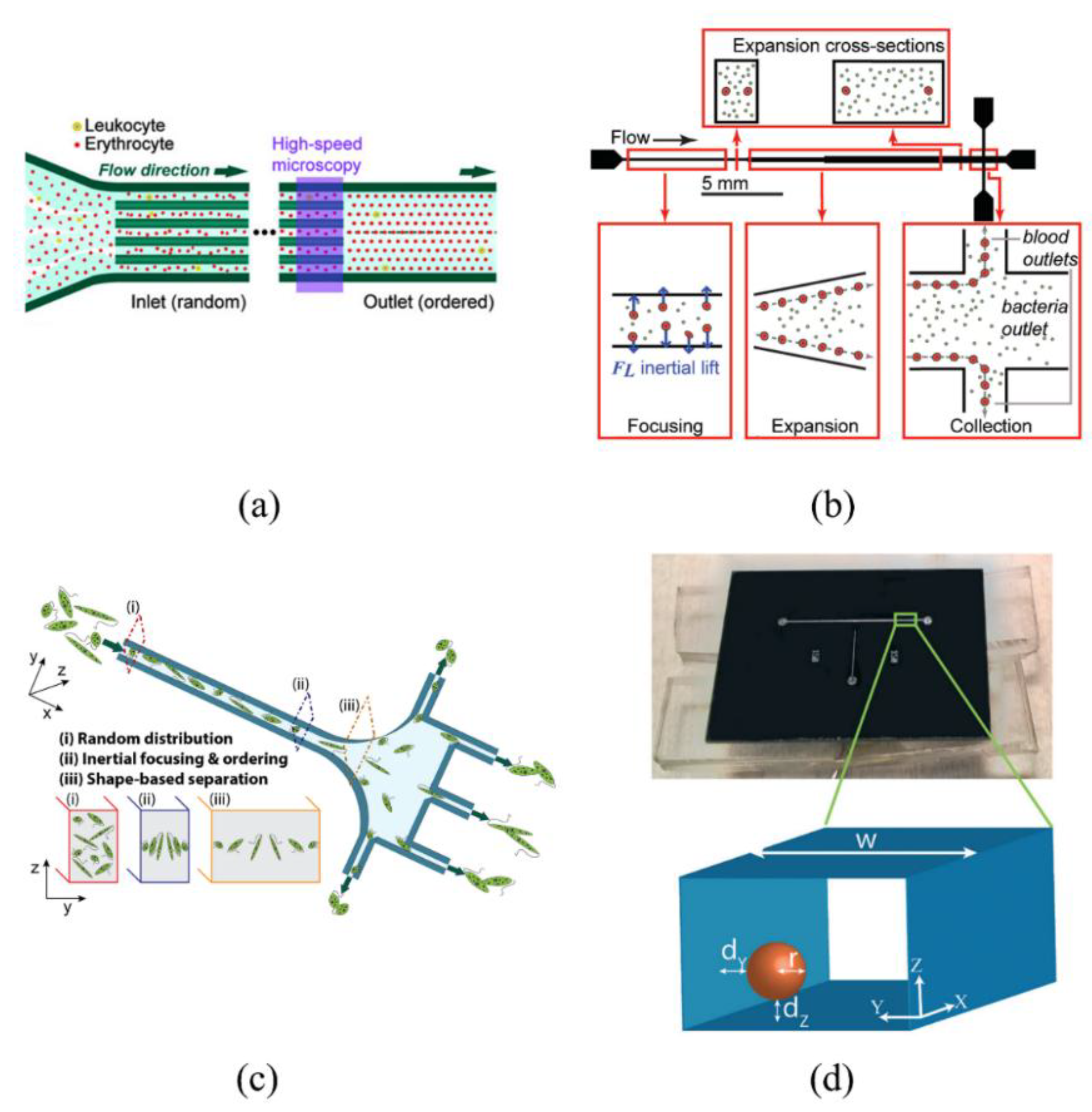 Progress of Inertial Microfluidics in Principle and Application