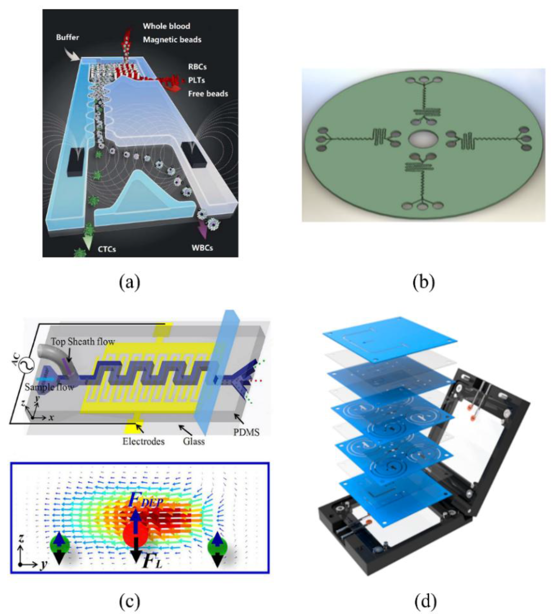 Progress of Inertial Microfluidics in Principle and Application