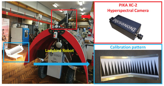 Sensors | Free Full-Text | Improved Cross-Ratio Invariant-Based Intrinsic Calibration of A ...