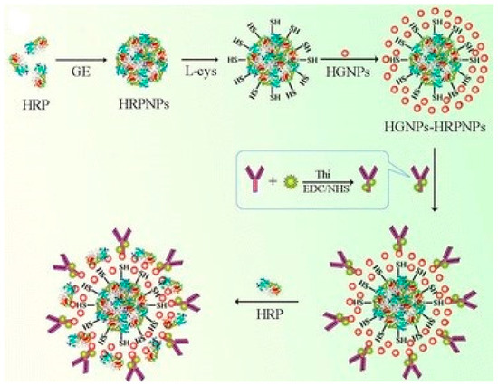Recent Advances in Enhancement Strategies for Electrochemical ELISA ...