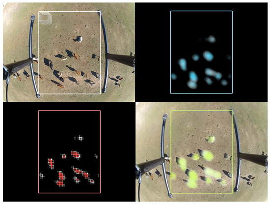 Detection of Cattle Using Drones and Convolutional Neural Networks