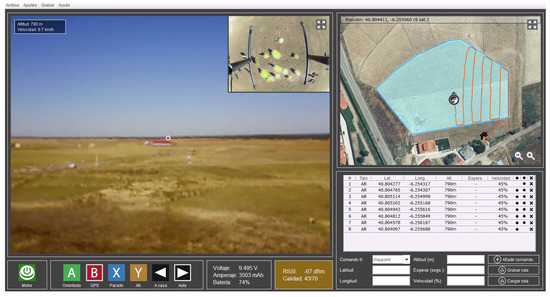 Detection of Cattle Using Drones and Convolutional Neural Networks