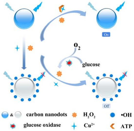 Simultaneous Detection of Adenosine Triphosphate and Glucose Based on ...