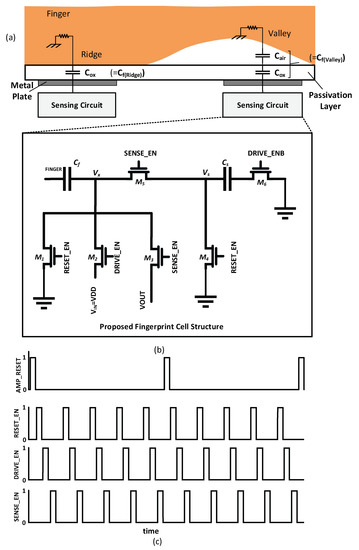 CMOS Capacitive Fingerprint Sensor Based on Differential Sensing ...