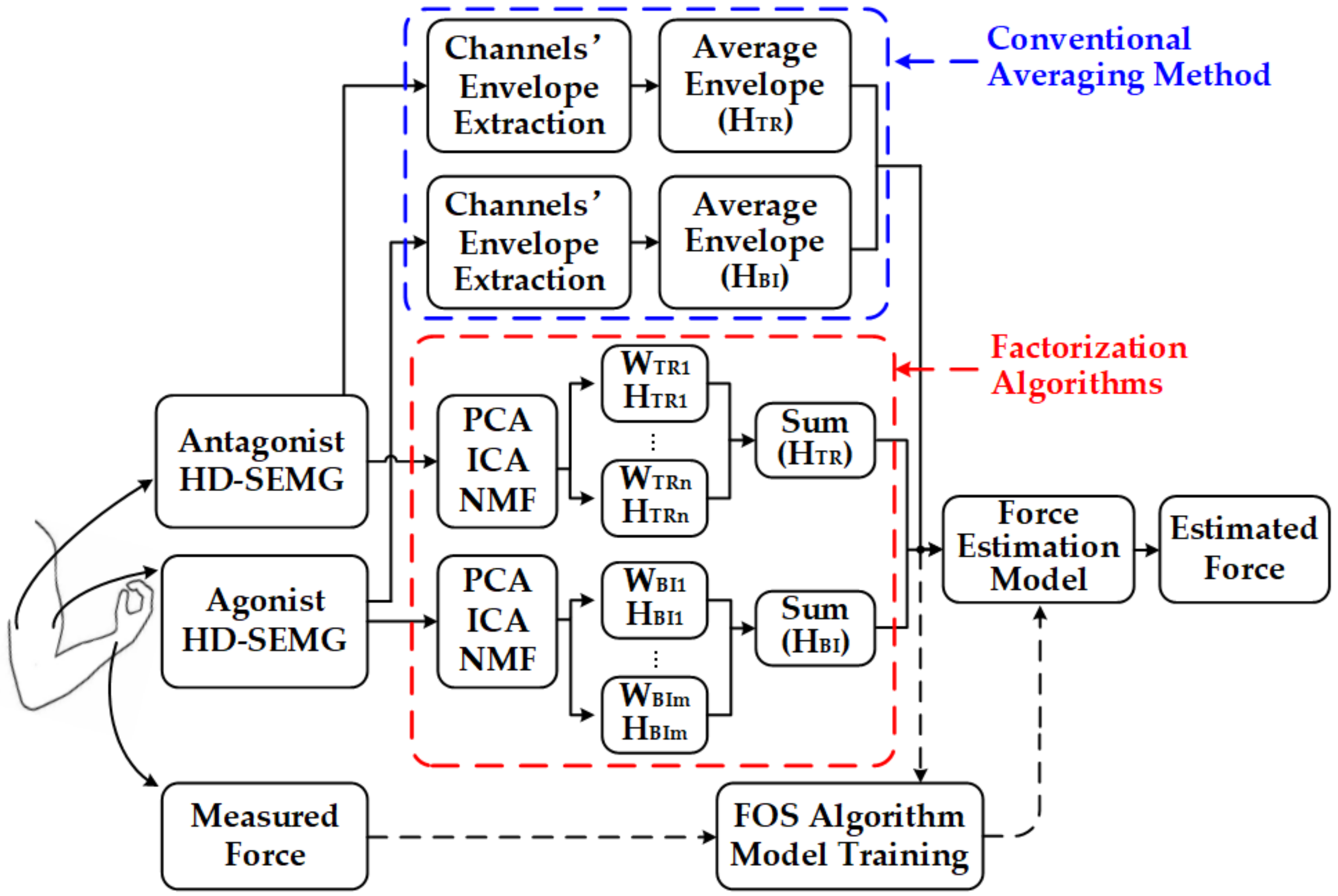 A SEMG-Force Estimation Framework Based on a Fast Orthogonal Search Method Coupled with ...