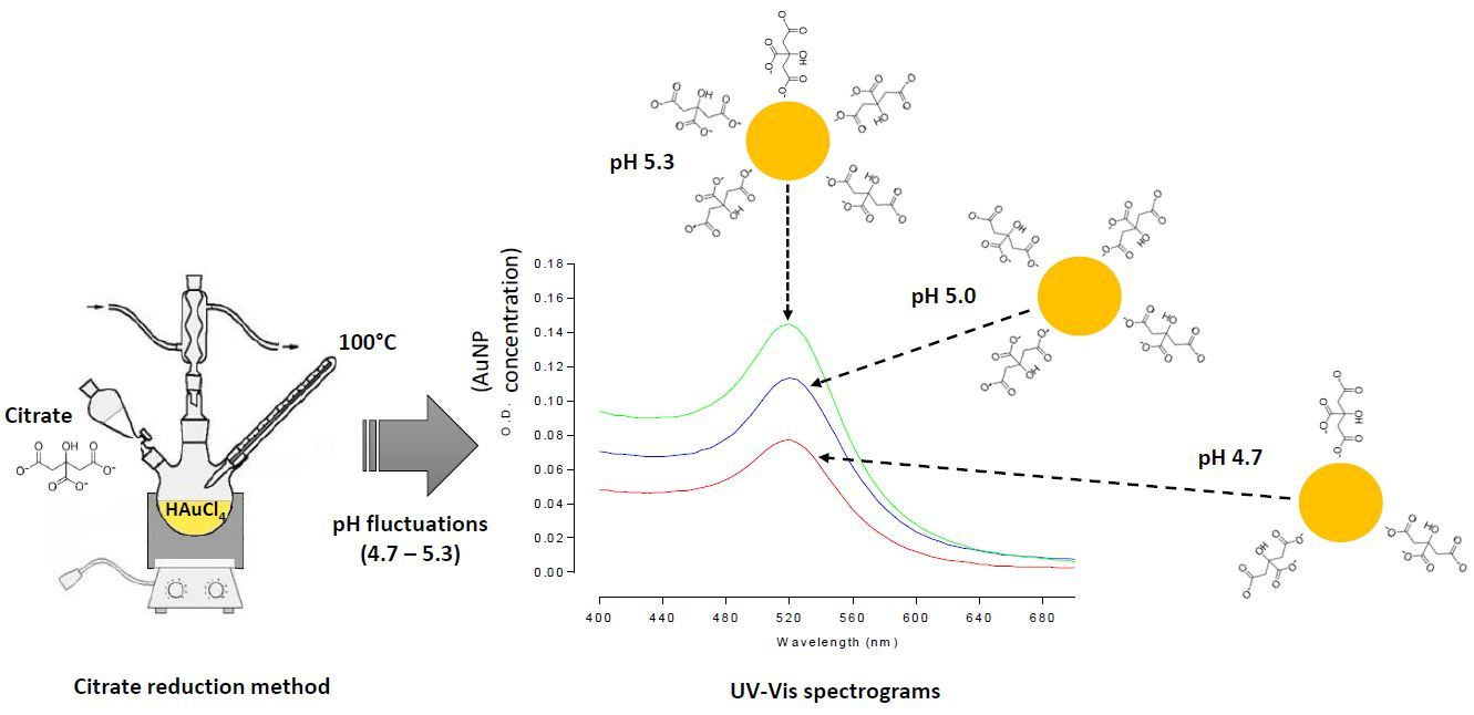Sensors | Free Full-Text | Slight pH Fluctuations in the Gold ...