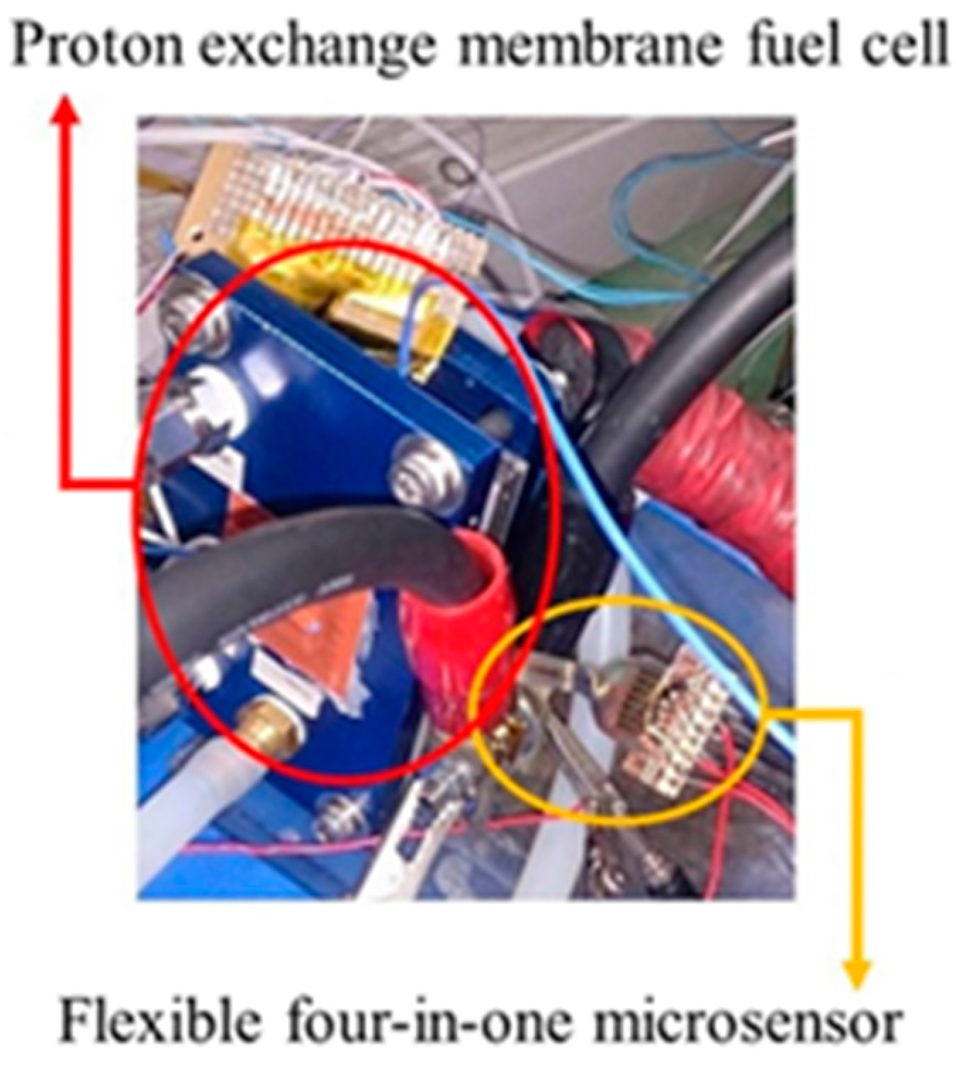Application of Flexible Four-In-One Microsensor to Internal Real-Time ...