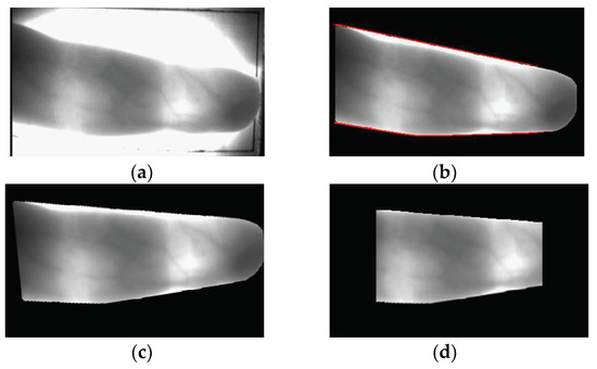 Multimodal Biometric Recognition Based on Convolutional Neural Network ...