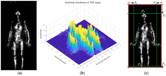 Terahertz Image Detection with the Improved Faster Region-Based Convolutional Neural Network
