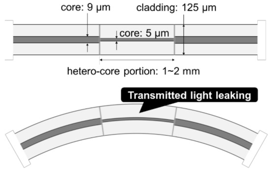 Pendulum-Type Hetero-Core Fiber Optic Accelerometer for Low-Frequency ...