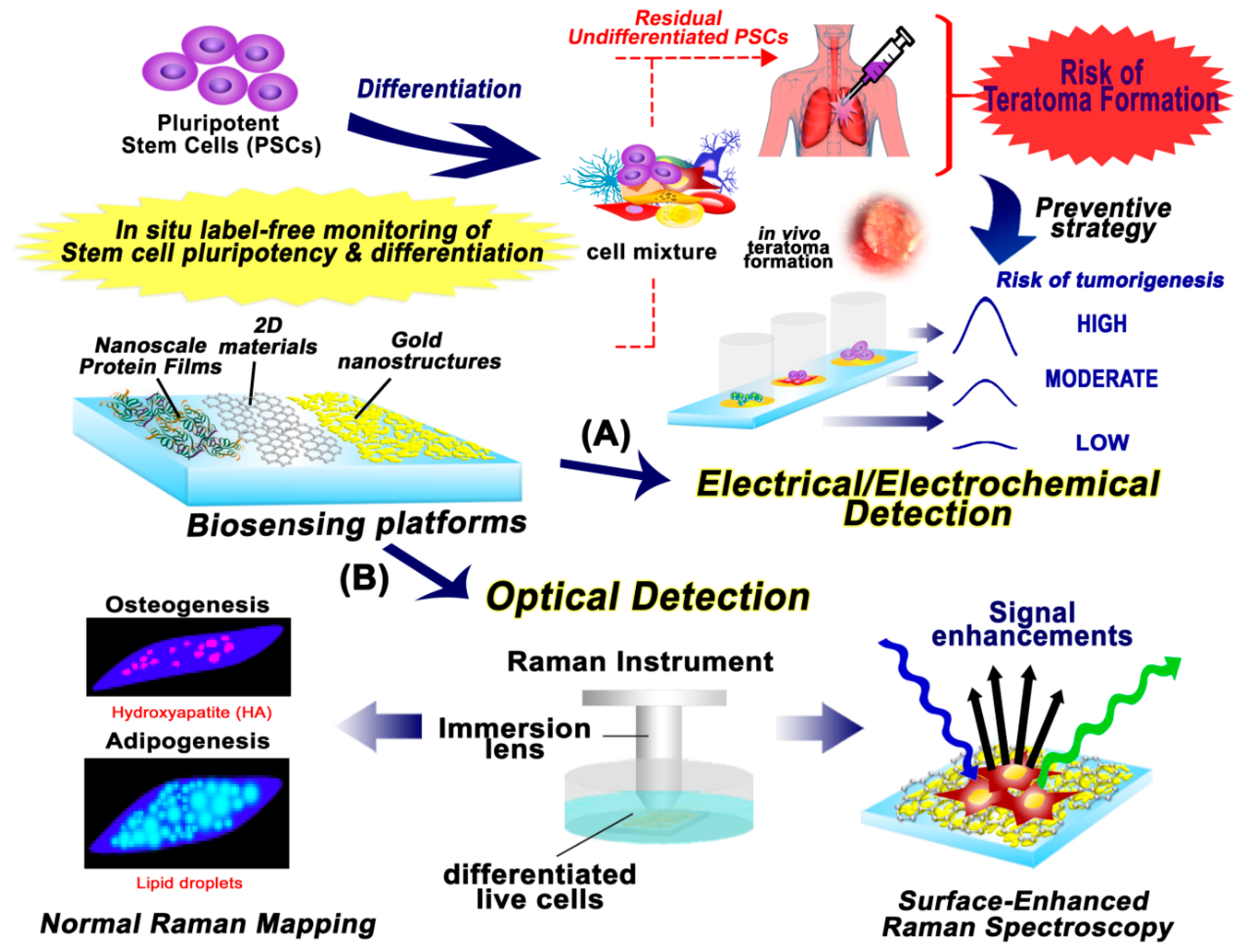 Nanobiosensing Platforms for Real-Time and Non-Invasive Monitoring of ...