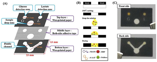 Paper-Based Sensors: Emerging Themes and Applications