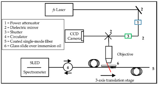 Femtosecond-Pulsed Laser Written and Etched Fiber Bragg Gratings for ...