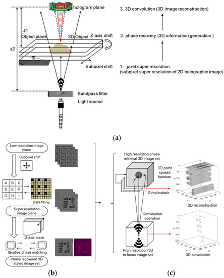 Sensors | Free Full-Text | Three-Dimensional High-Resolution Digital Inline Hologram ...