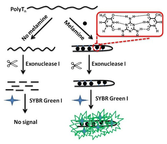 Simple and Label-Free Fluorescent Detection of Melamine Based on ...