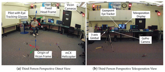 Modeling the Human Visuo-Motor System to Support Remote-Control Operation