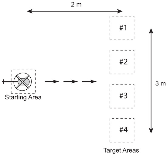 Modeling the Human Visuo-Motor System to Support Remote-Control Operation
