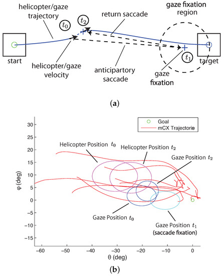 Modeling the Human Visuo-Motor System to Support Remote-Control Operation