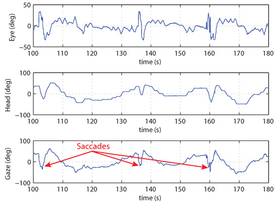 Modeling the Human Visuo-Motor System to Support Remote-Control Operation