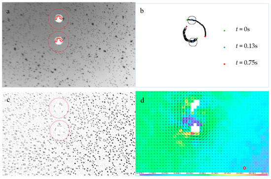 A Review of Planar PIV Systems and Image Processing Tools for Lab-On ...